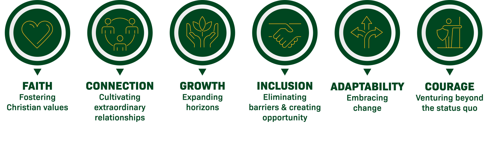 Mission & Goals | Physical Therapy | Baylor University